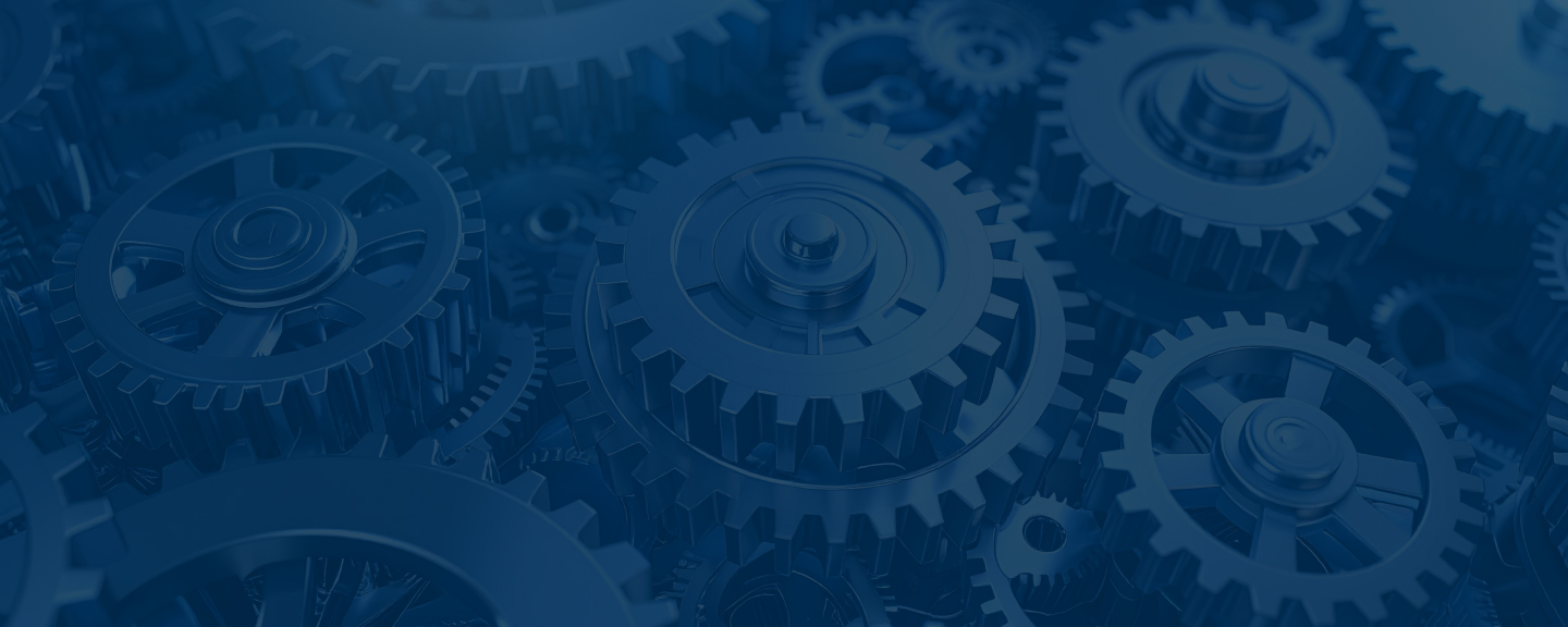 ReV OS | Executive Network and Partners for Lasting Growth